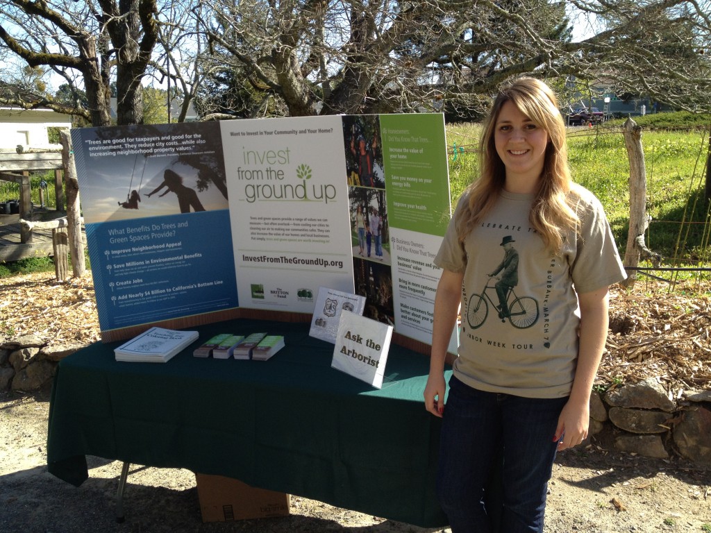 Invest from the Ground Up Displays – The Britton Fund, Inc.