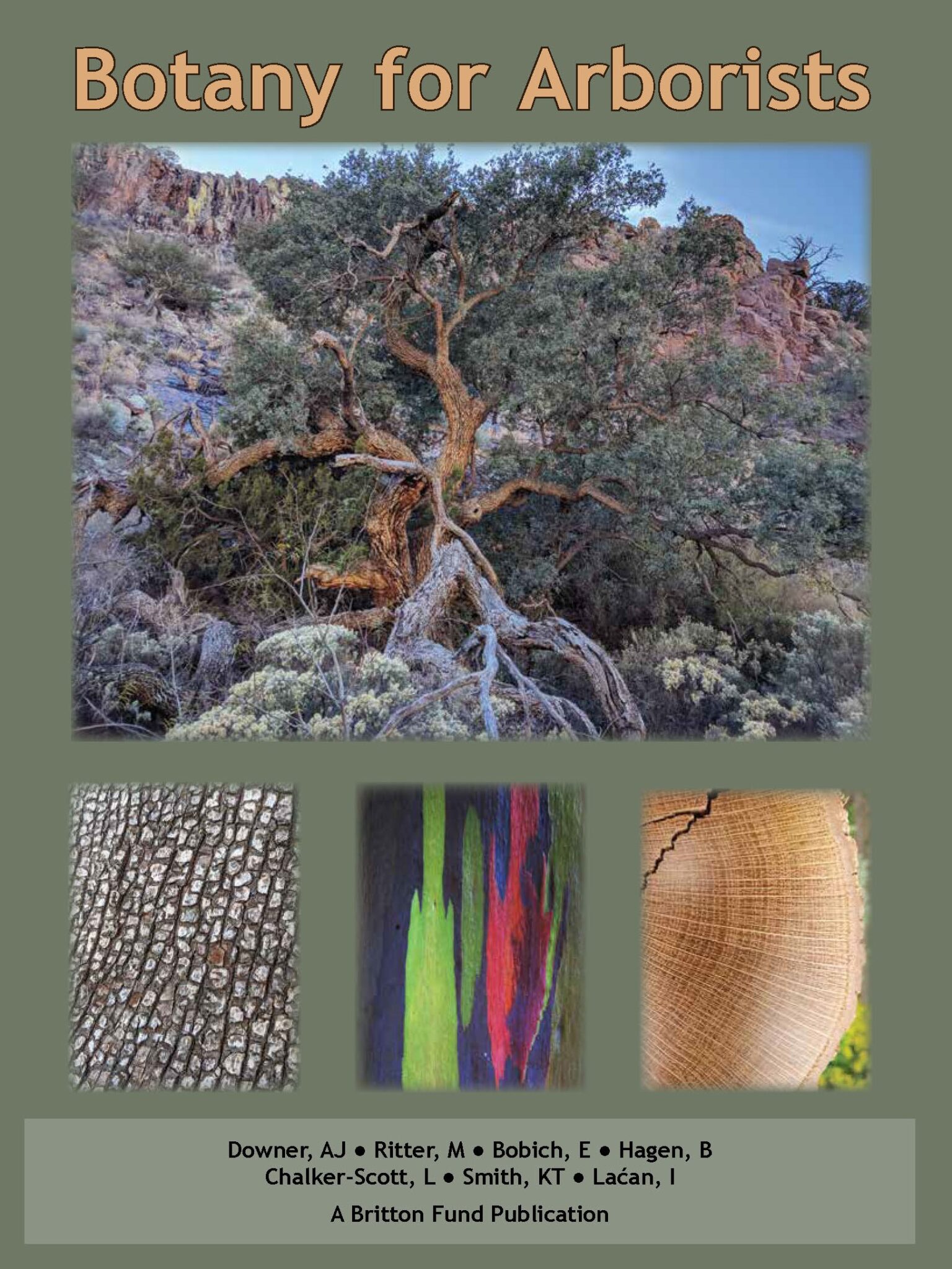 Publications – The Britton Fund, Inc.